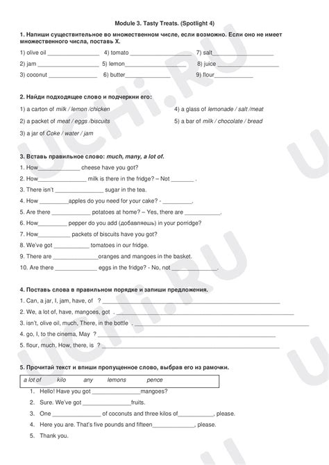 🖍 Проверочная работа №5 по теме “Контрольная работа по английскому