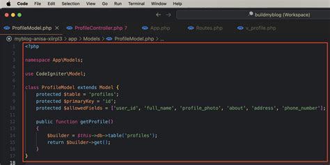 Blog Development And Profile Management Using Codeigniter4 Part 5 Profile Page Setup