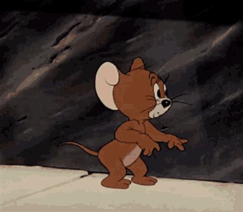 Cartoon Mouse  Cartoon Mouse Jerry Discover And Share S