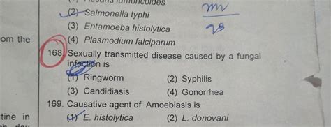 Sexually Transmitted Disease Caused By A Fungal Infection Is Filo