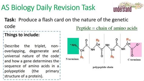 The Genetic Code Explained