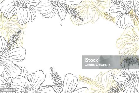 카드 결혼식 초대장 스크랩북의 디자인을 위한 히비스커스 꽃 프레임 보더 라인 아트 검은 잉크와 황금 손으로 그린 열대 꽃 배경 0명에 대한 스톡 벡터 아트 및 기타 이미지