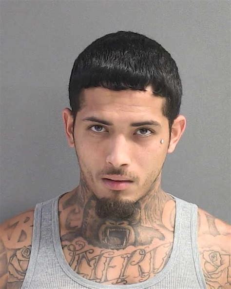 Pin By Michael G On Crazy Tattoo People Mug Shots Chris Brown