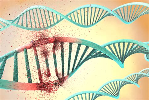 Autism Linked Gene Variants Increase Odds Of Attention Deficit