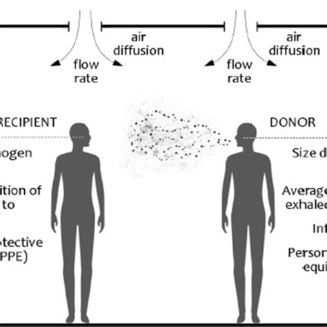 A Donor Recipient Model Of Transmission Of Respiratory Pathogens Within