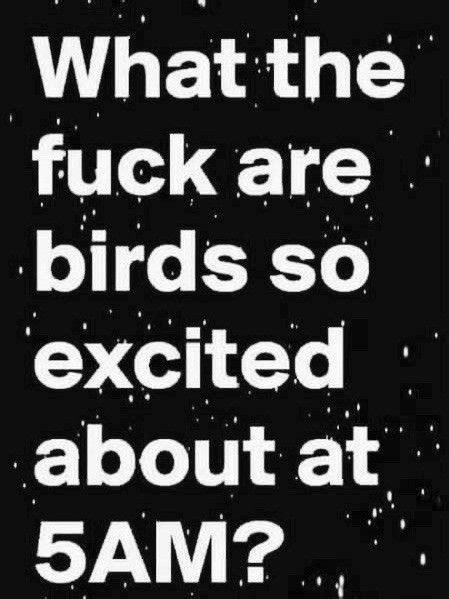 Pin By Patti Vogt On Words Funny Words To Say Funny Mom Quotes Good Morning Funny Pictures
