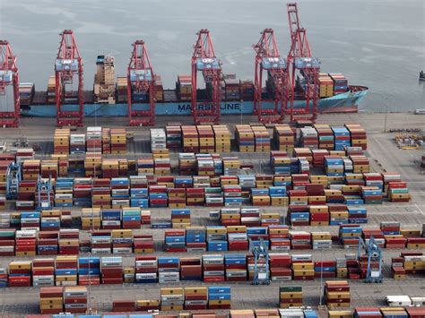 Industry Leaders Meet In Miami To Tackle 22t Illegal Trade Human