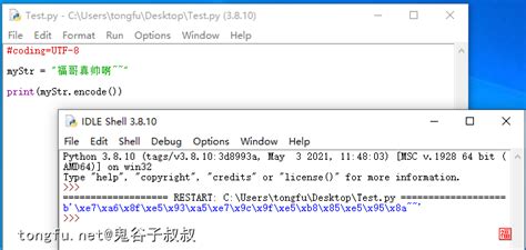 Python里bytes和str互相转换【20210624】 鬼谷子叔叔的个人主页 同福网