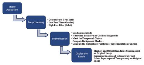 Diagram Of All Steps During Image Processing Download Scientific Diagram