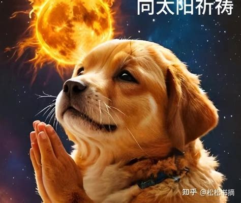 偷一句去笑死朋友圈 知乎