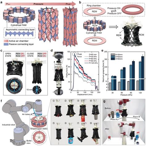 An Adaptive Soft Gripper Based On Cylindrical Fabric‐lattice Artificial