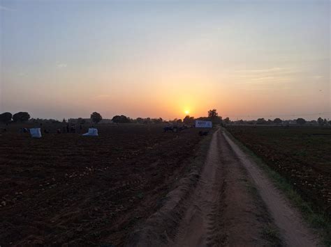 About Bio Version Agri Solutions For Agri Related Problems