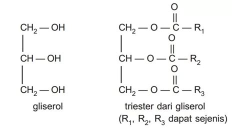 Struktur Lemak Dan Minyak Materi Kimia