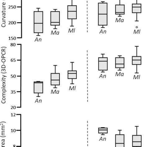 Boxplots Showing Results Of The Measurements Of Dirichlet Normal Energy Download Scientific