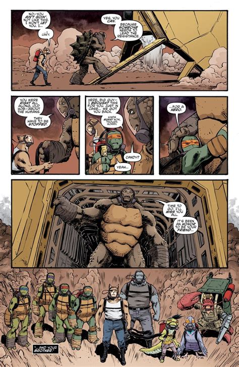 How Do You Feel About Idw Slash As A Whole R Tmnt