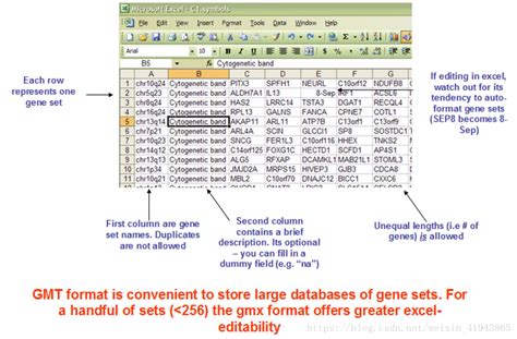 给gsva制作自己的gmt文件生物信息学如何生成自己的gmt文件 Csdn博客