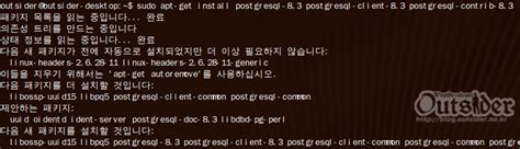 Ubuntu에서 Postgressql 설정하기 Outsiders Dev Story