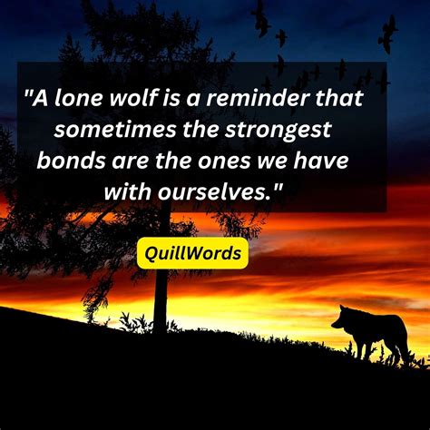 100 Epic Lone Wolf Quotes To Inspire You 2025 Quillwords