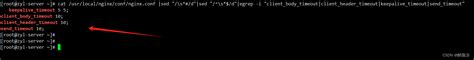 中间件 Nginx加固（控制超时时间and限制客户端下载速度and并发连接数）nginx 安全 控制超时时间 Csdn博客