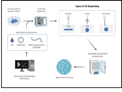 Figure 1 From Three Dimensional Bioprinting For Retinal Tissue