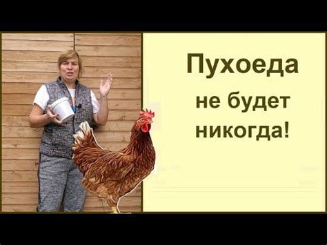 Обработка и дезинфекция курятника по новому - YouTube