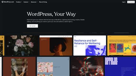Best Cms Tools For Website Development In 2025
