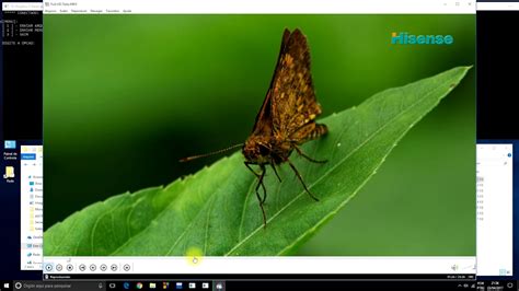 Socket C Cliente E Servidor Envio De Arquivos Youtube