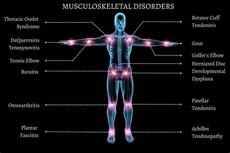 Fatigue And Exhaustion Chiropractic Scientist