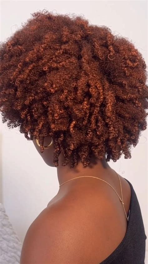 Autumn And Fall Hairstyle And Colour For Type 4 Hair In 2025 Natural