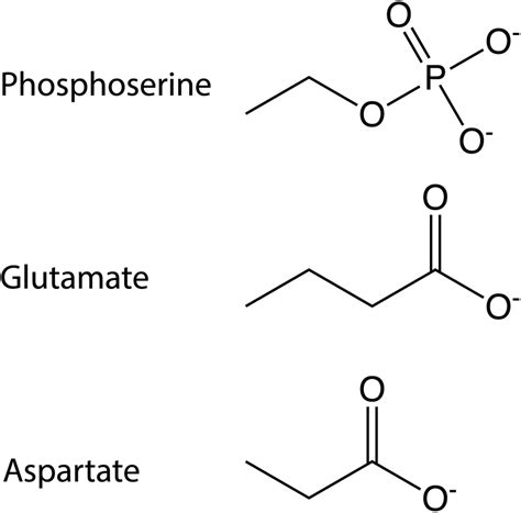 Serine Phosphorylation Mimics Of Aβ Form Distinct Non Cross Seeding