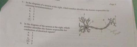 7 In The Diagram Of A Neuron At The Right Which Chegg Com