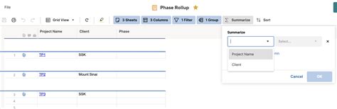 How To Build A Report That Will Count Different Criteria From A Column Smartsheet Community
