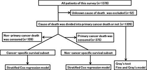 A Flowchart Of The Identification And Analyses Process Download