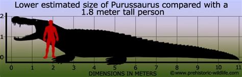 List Of 21 Prehistoric Crocodiles Prehistoric Wildlife