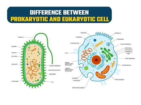 Cell Basic Unit Of Life 1 Ix Cbse Pptx