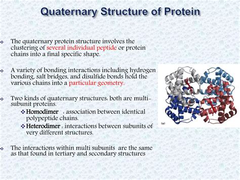 PROTEIN STRUCTURE PRESENTATION PPTX