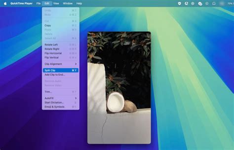 What To Do If Your TV Won T Play A Specific Movie File From Your USB TFOT