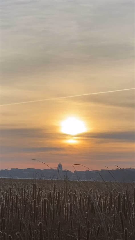 Seda Seds Photooftheday Wisconsin Naturephotography Usa Madison Nature Photography