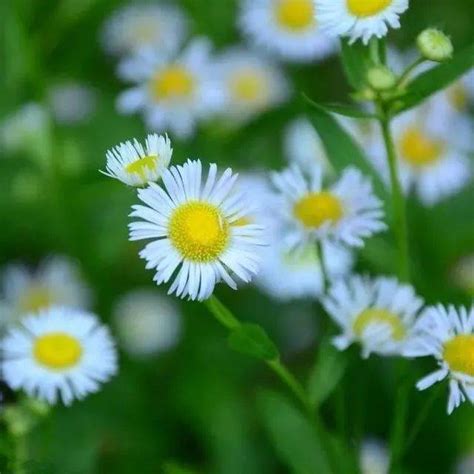 姚元生 平凡而伟大的姚福民儿童孩子老人