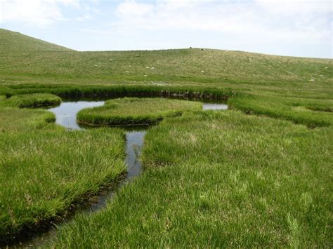 საქართველოს ნაკრძალები ვიდეო და სურათები