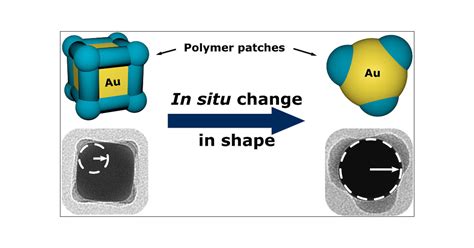 Shape Specific Patterning Of Polymer Functionalized Nanoparticles Acs
