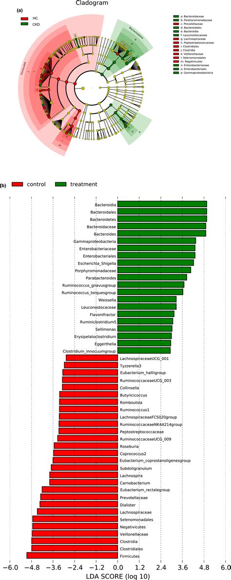 A Cladogram Showing The Most Differentially Abundant Taxa Identified
