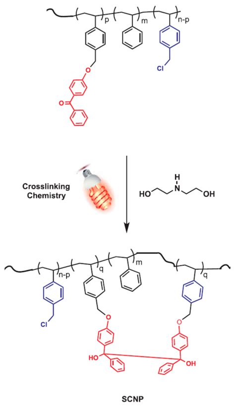Advances In The Phototriggered Synthesis Of Single Chain Polymer Nanoparticles