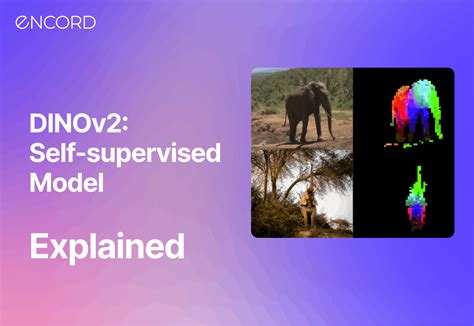 dinov2 explained revolutionizing computer vision with self supervised learning encord