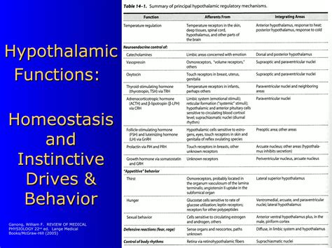 2 The Sexual Brain PPT