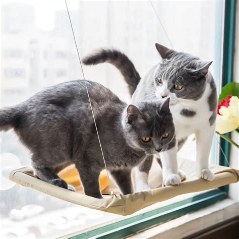 Pakabinamas Hamakas Jaukus Guolis Katėms Stiprult