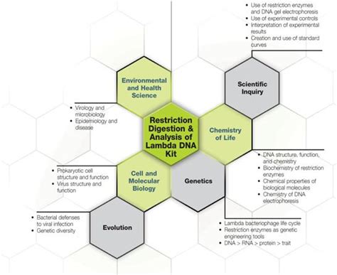 Antibiotics Structure And Function