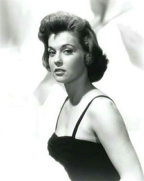 ボード「donna Douglas」のピン