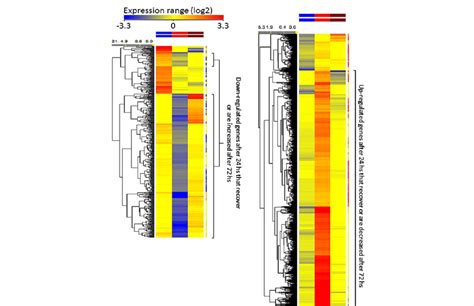 Heat Map Obtained After Hierarchical Clustering Of Genes Up Or Download Scientific Diagram