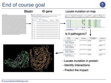 Bioinformatics For Biology And Biotech Digital World Biology